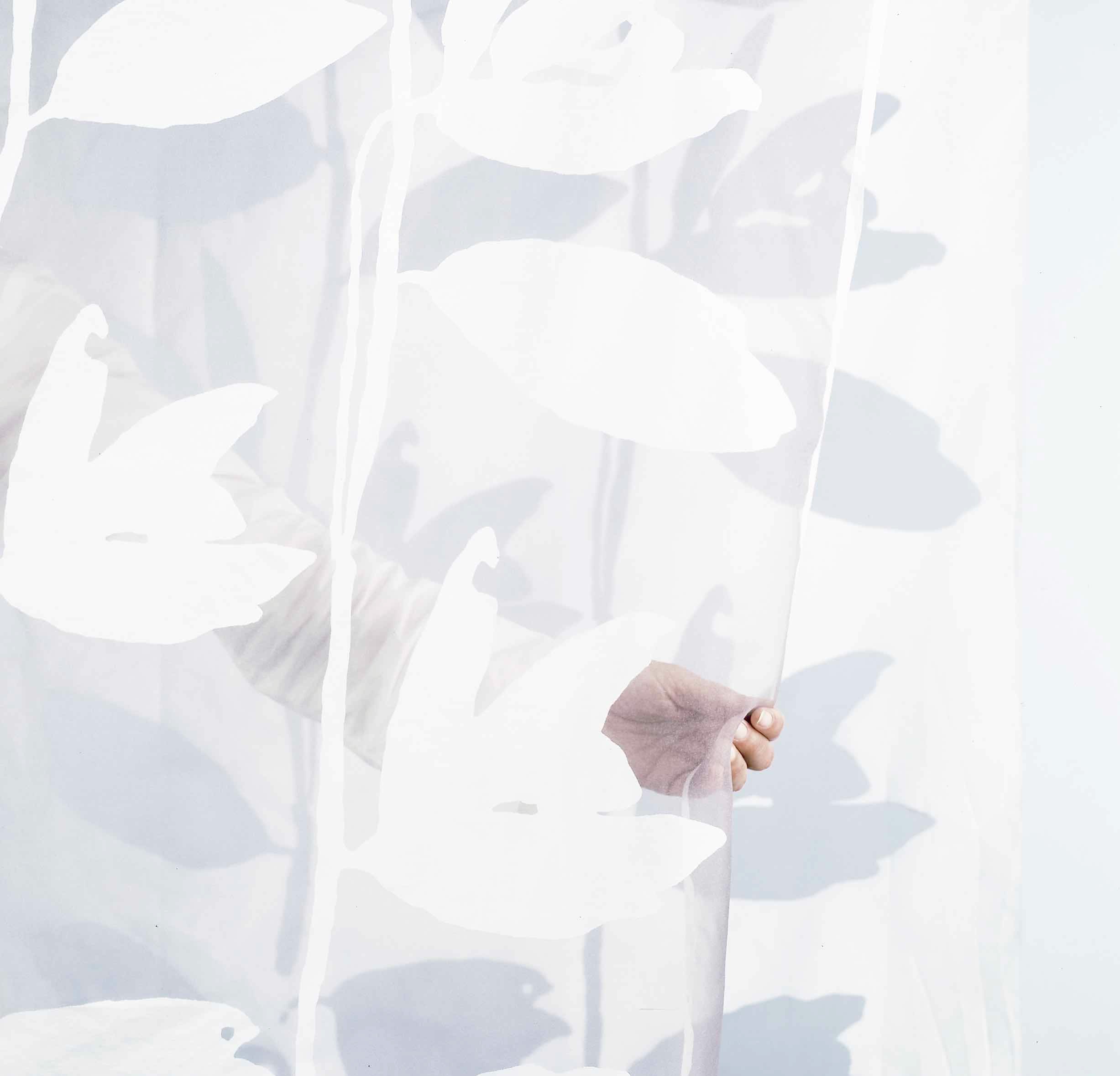 Magnolia & Akleja Collection – Studio Maria Löw